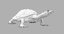 3D model snake necked turtle - TurboSquid 1331880