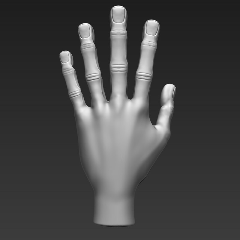 Stylized hand model - TurboSquid 1332233