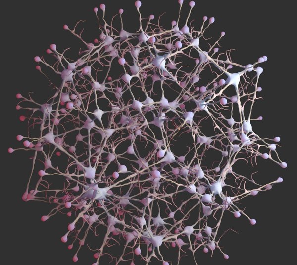 Network cells model - TurboSquid 1332808