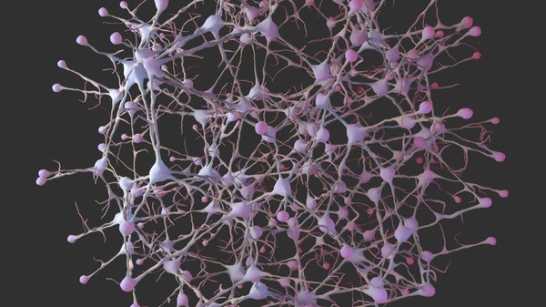 Network cells model - TurboSquid 1332808