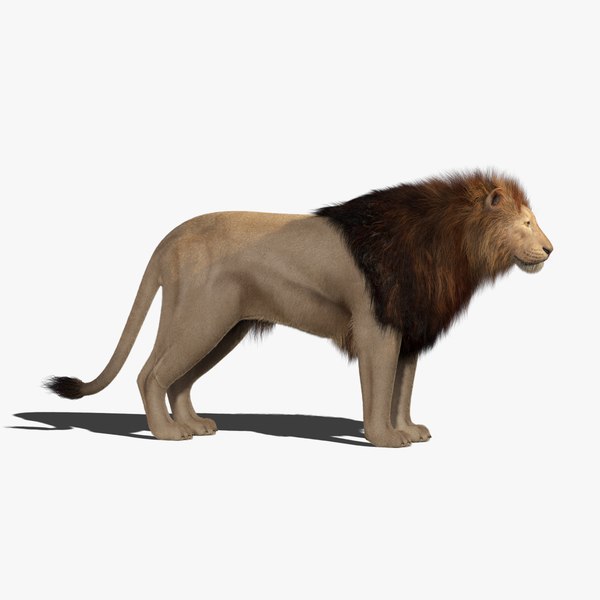 Lion Blender Models for Download | TurboSquid