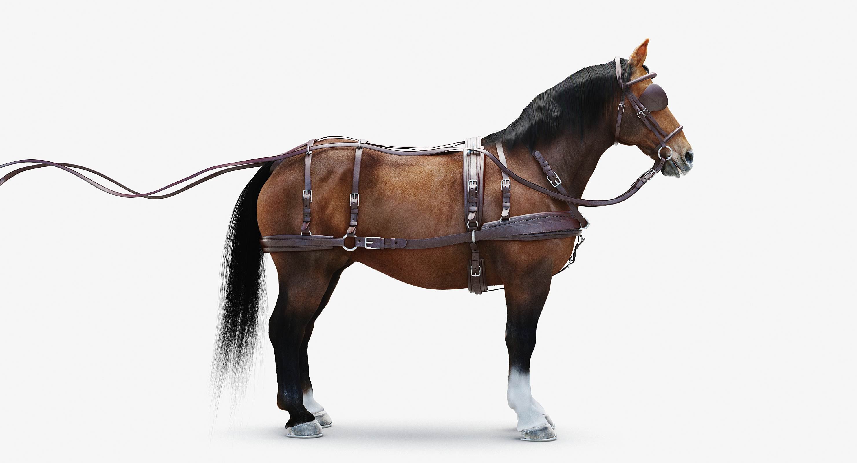 3D realistic horse harness - TurboSquid 1333467