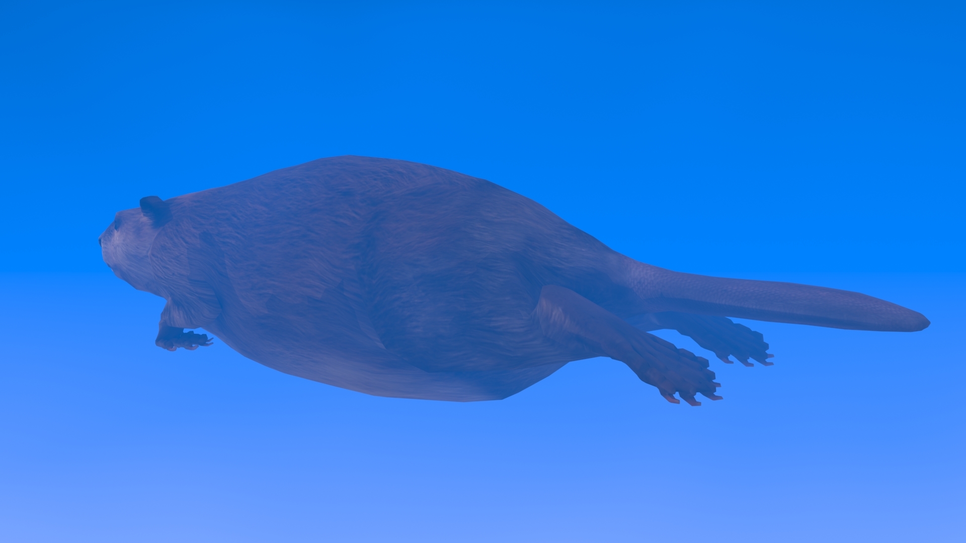 Beaver animations 3D model - TurboSquid 1333742