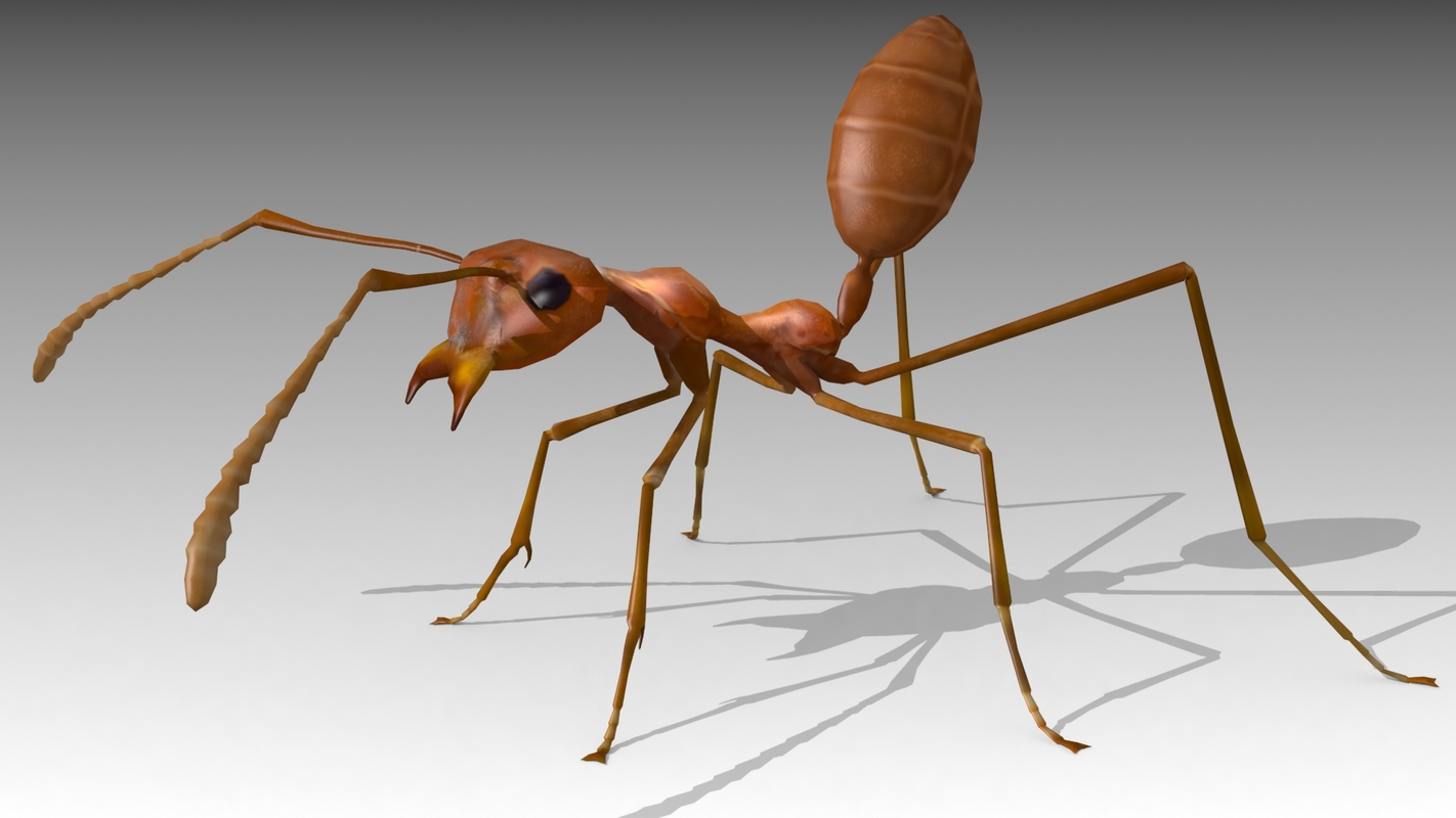 3D ant animations - TurboSquid 1333816