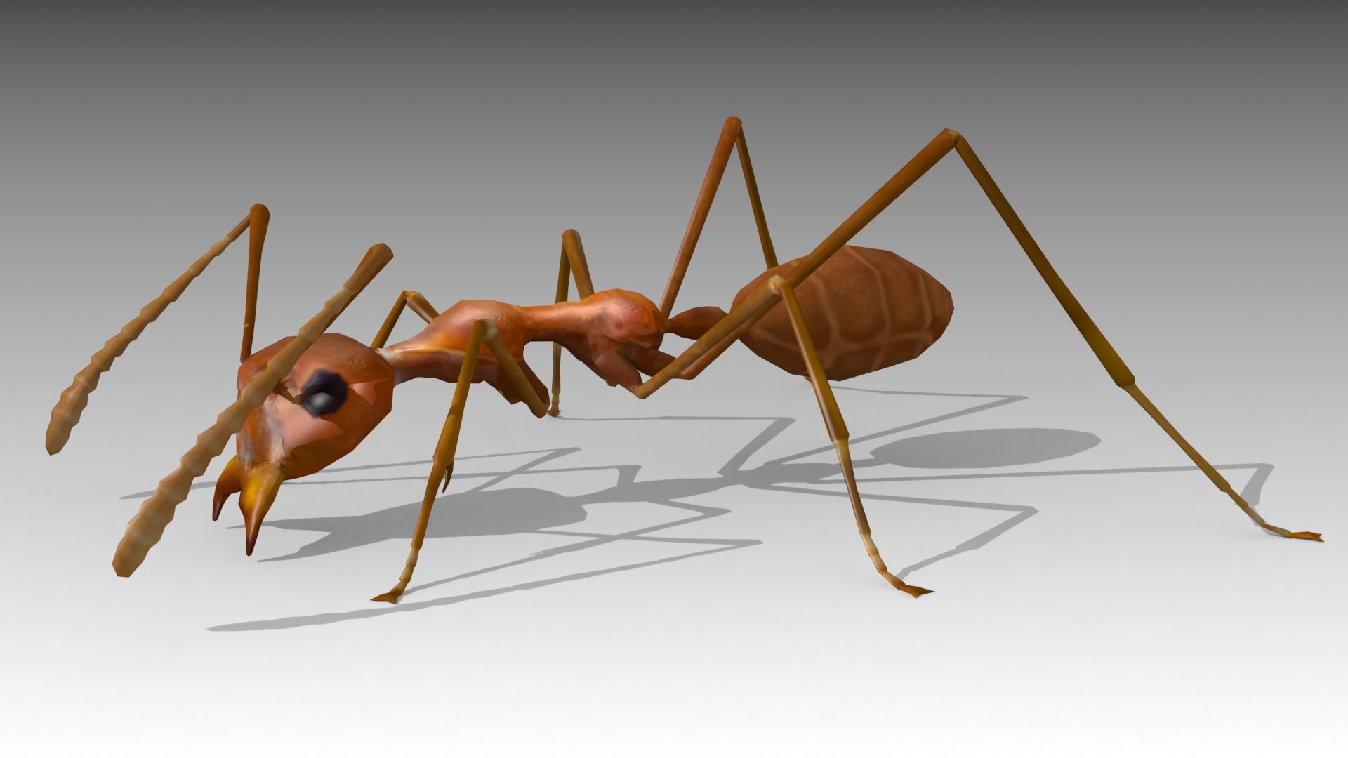 3D ant animations - TurboSquid 1333816