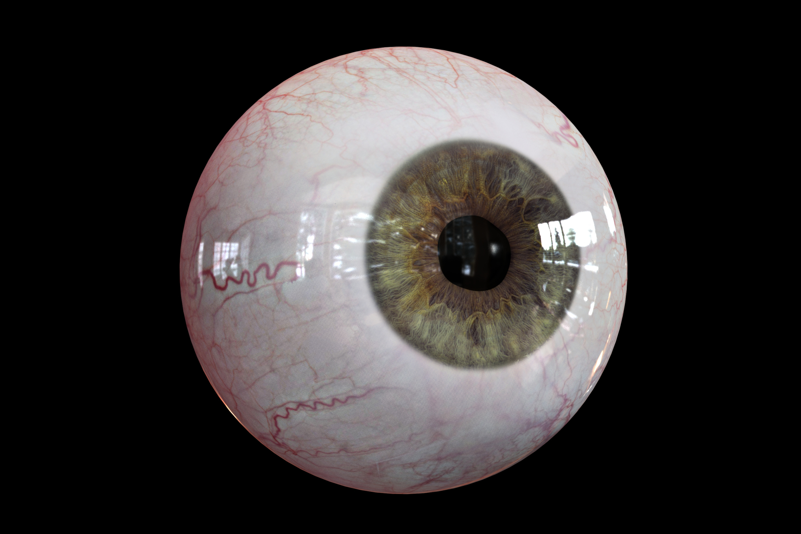 modelo 3d Ojo humano realista - TurboSquid 1334103