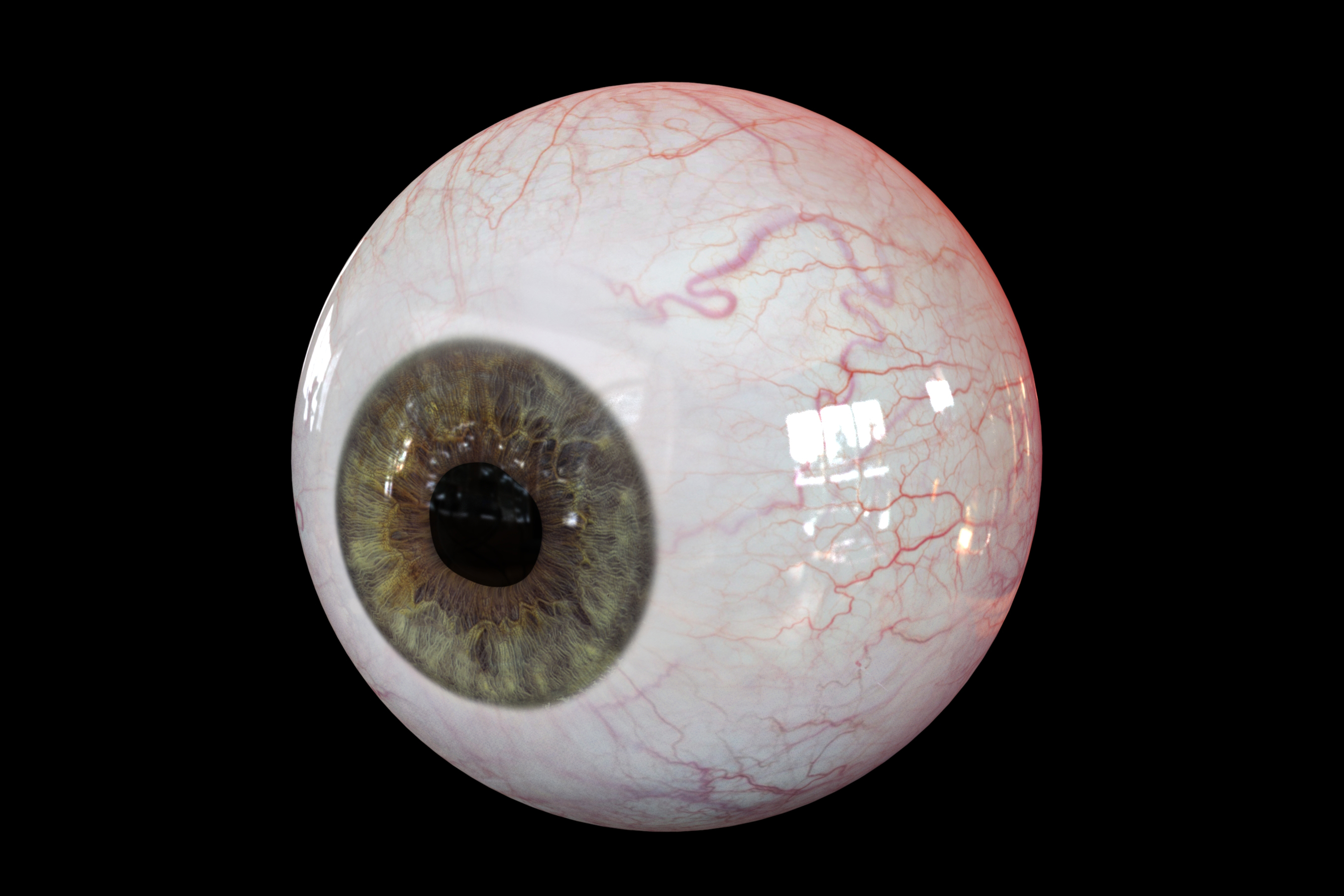 Realistic human eye body anatomy model - TurboSquid 1334103