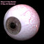 Realistic human eye body anatomy model - TurboSquid 1334103