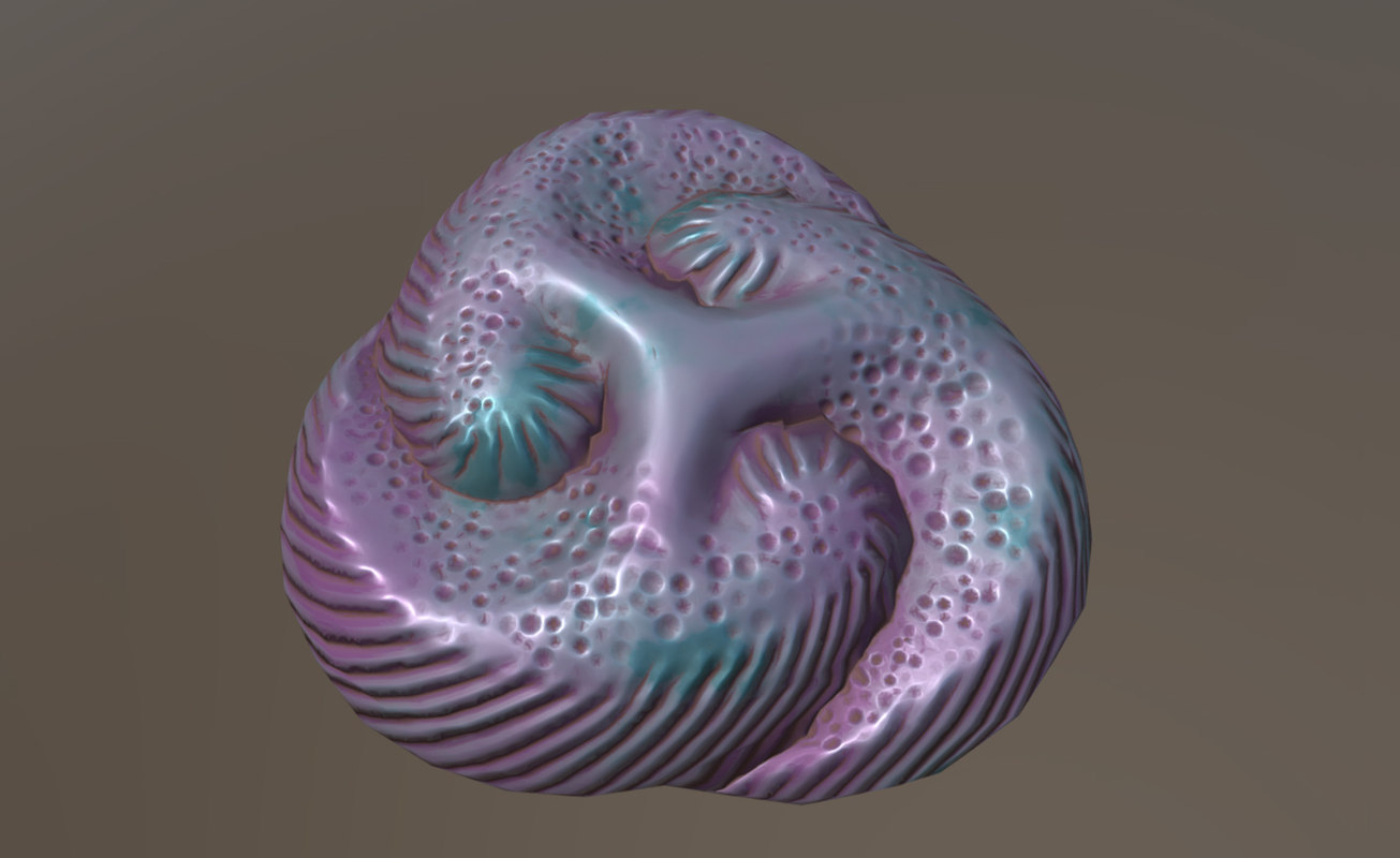 Tribrachidium 3D model - TurboSquid 1334382