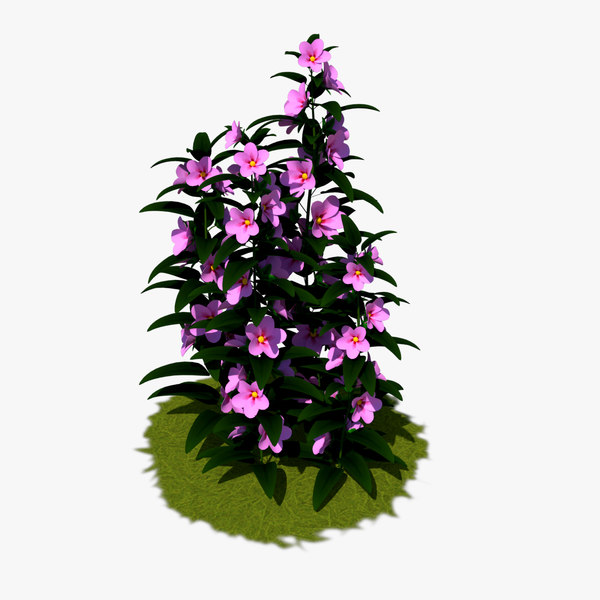 modelo 3d Flor de arbusto 03 - TurboSquid 1334445