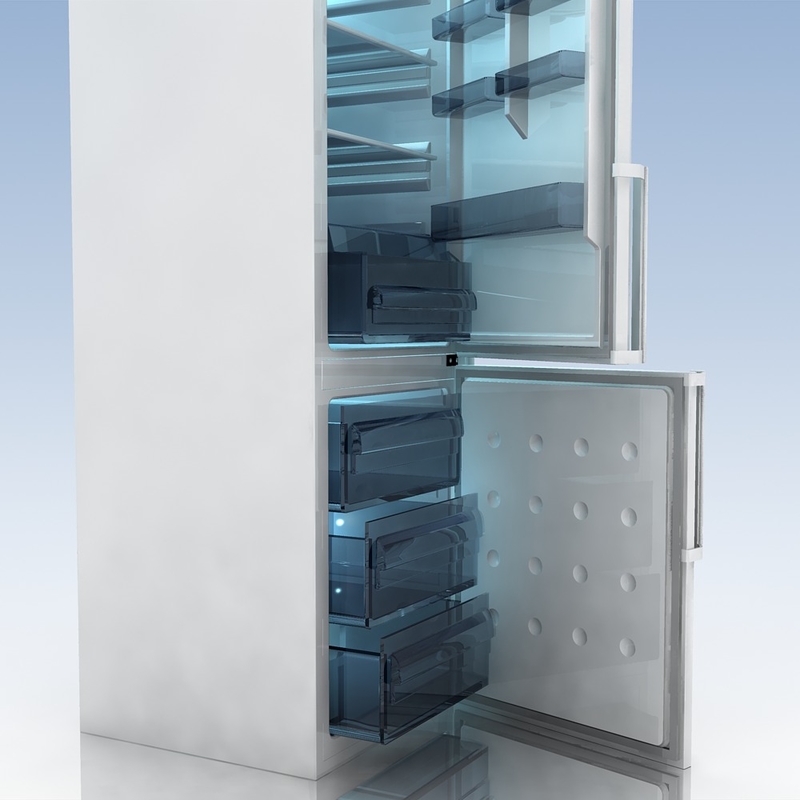 fridge samsung rl 40 max