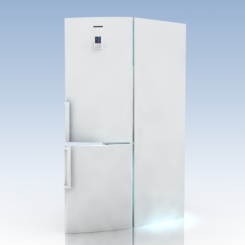 fridge samsung rl 40 max