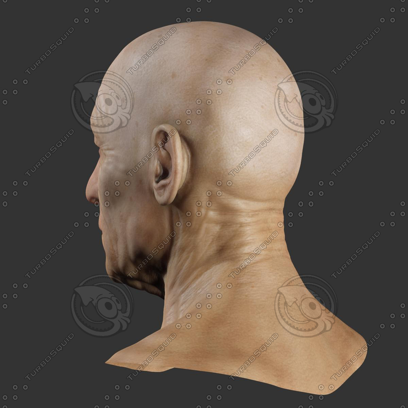 old man head 3d model