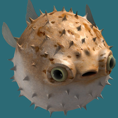 Puffer Fish 3D Models for Download | TurboSquid