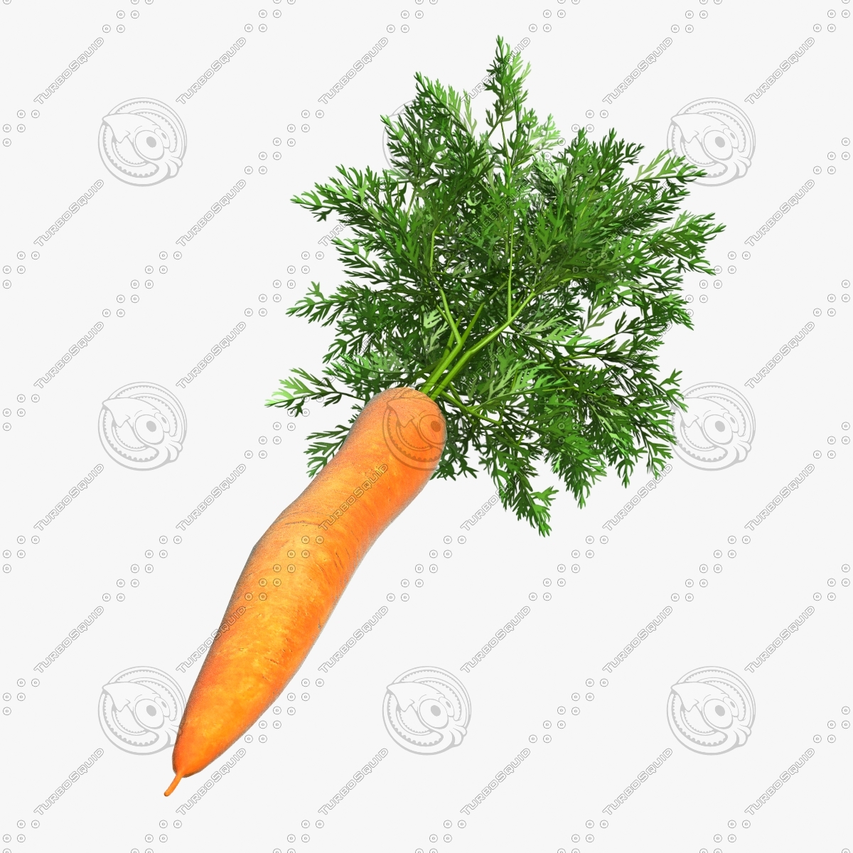 3d model of carrot vegetable