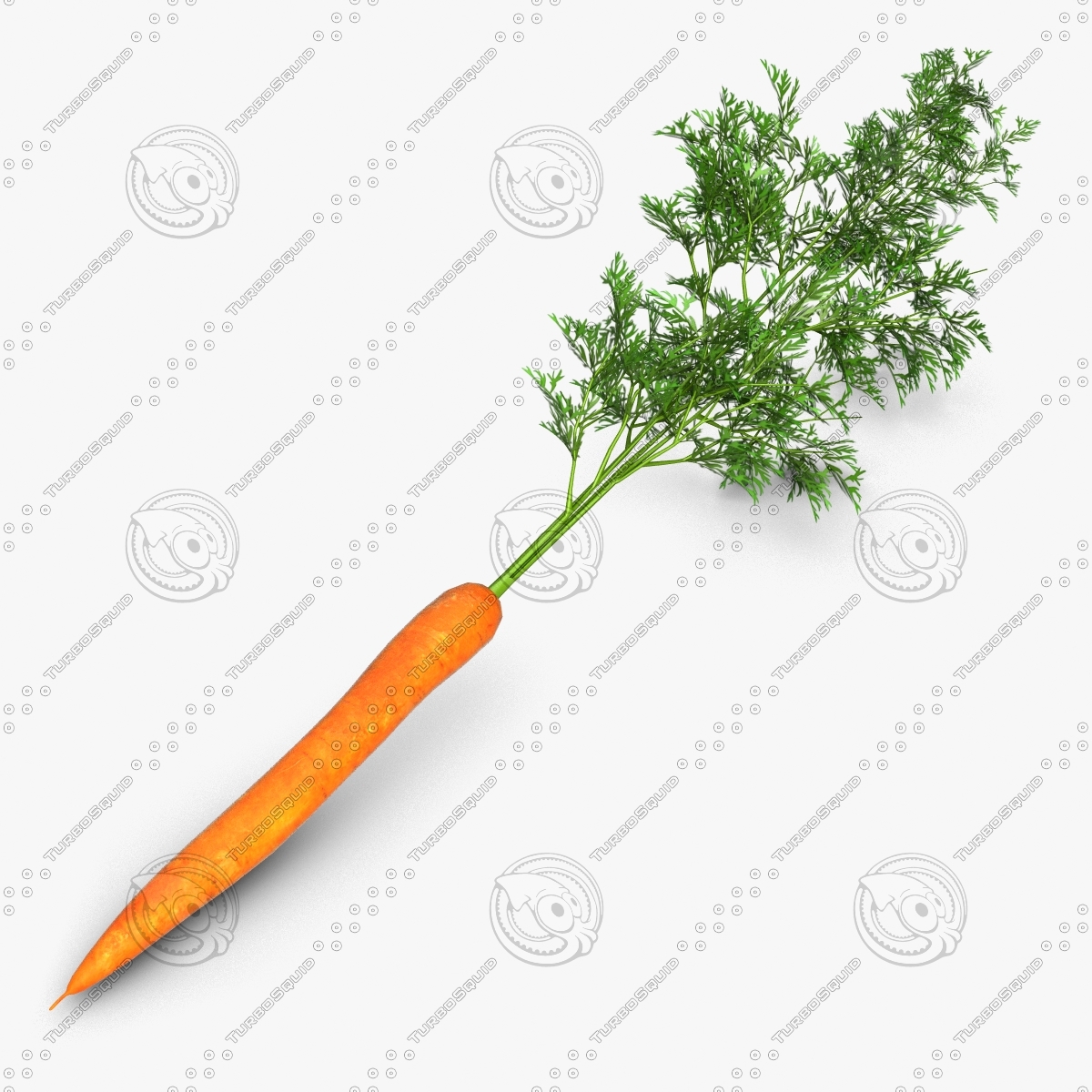 3d model of carrot vegetable