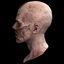 3d model of zombie head