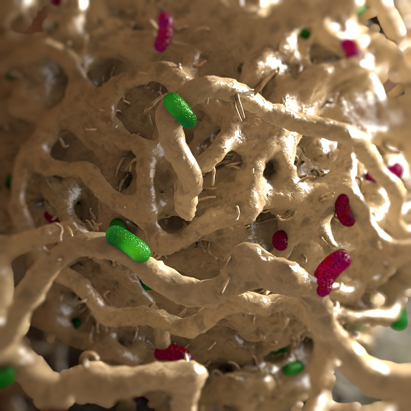 modèle 3D de Champignon filamenteux microscopique avec bactéries ...