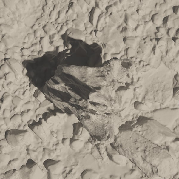 3d Scan Dead Trunk 01