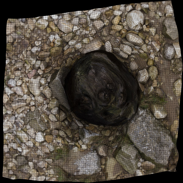 3d Scan Dead Trunk 01