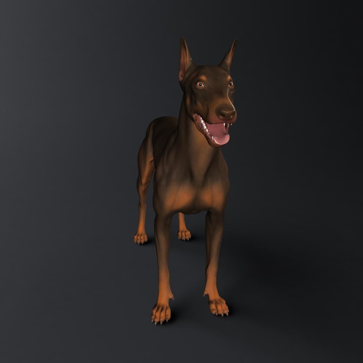 3d model doberman dog