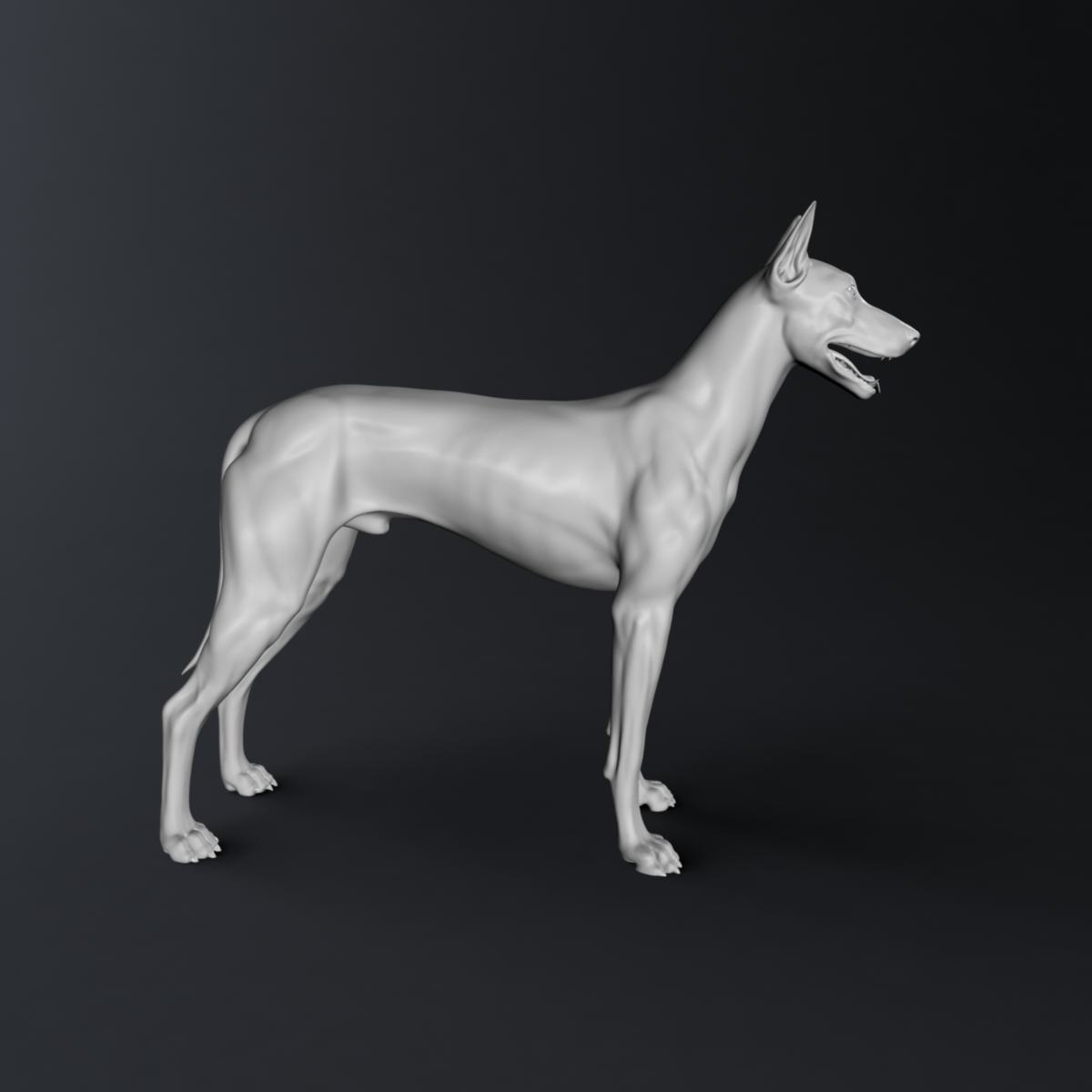 3d model doberman dog