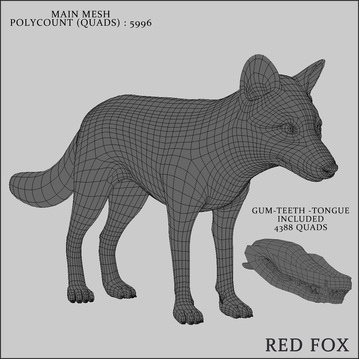 3d model red fox animation