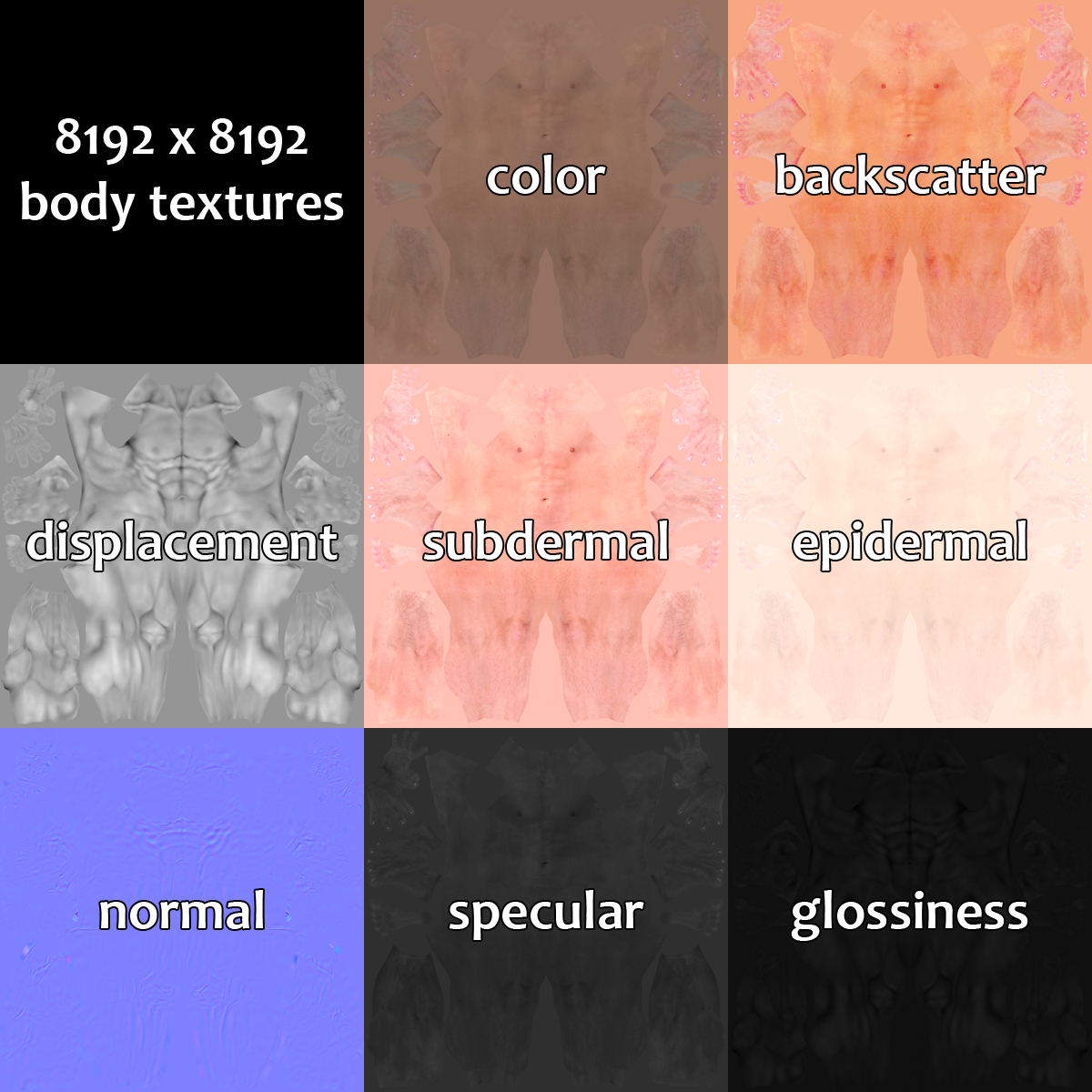 realistic male body - max