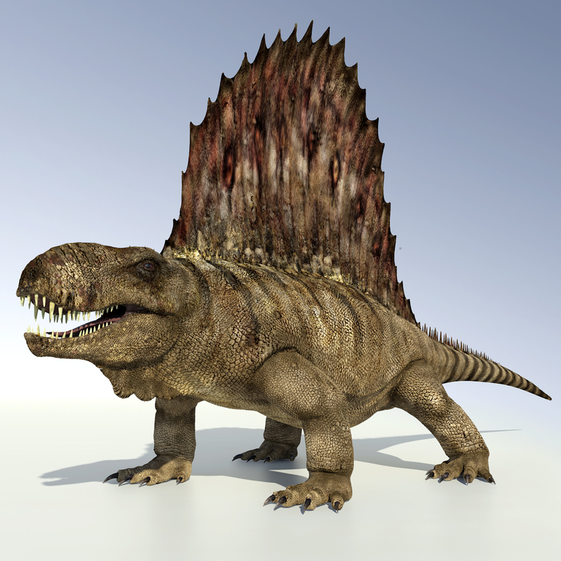 dimetrodon reptile max