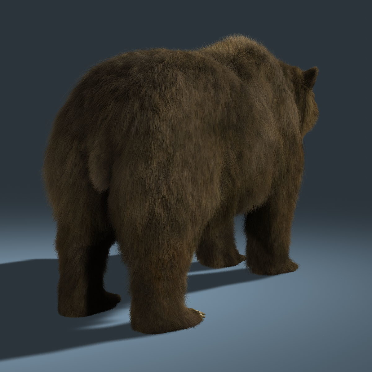 3d model bear fur