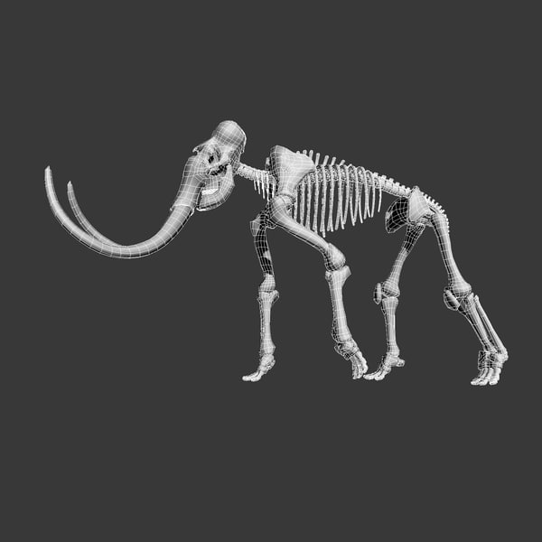 mammoth skeleton bone max