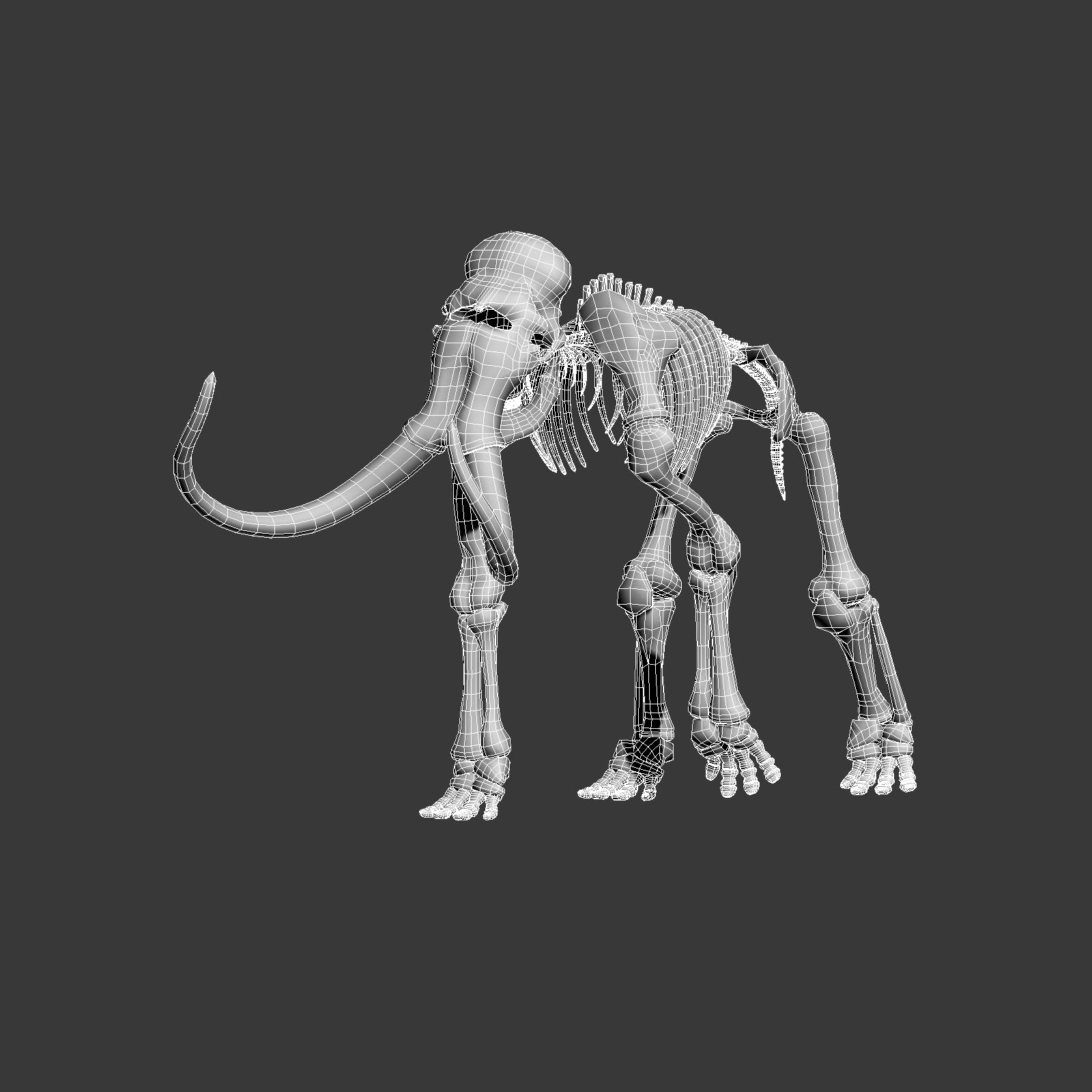 mammoth skeleton bone max