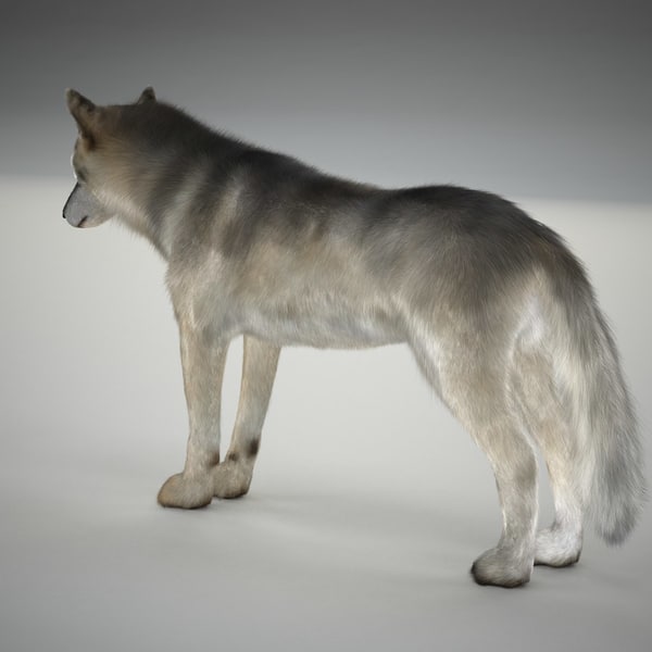 realistic wolf 3d 3ds