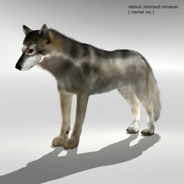 realistic wolf 3d 3ds