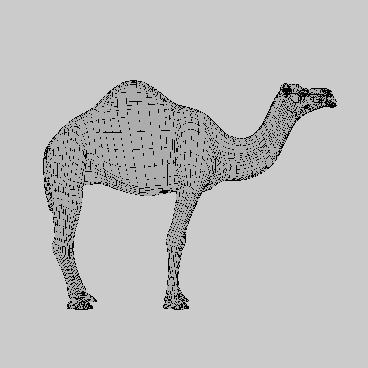 camel dromedary obj