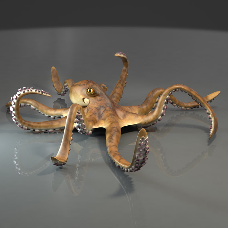 rigged giant pacific octopus 3d model