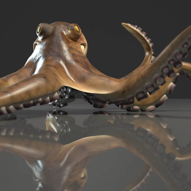 rigged giant pacific octopus 3d model