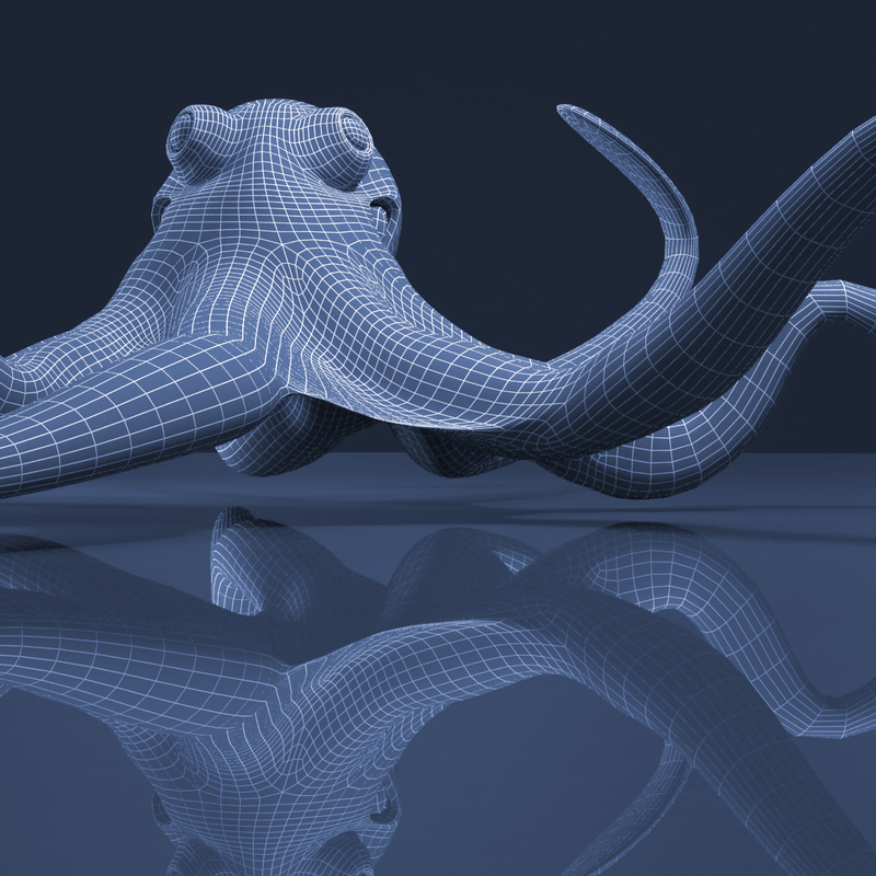 rigged giant pacific octopus 3d model