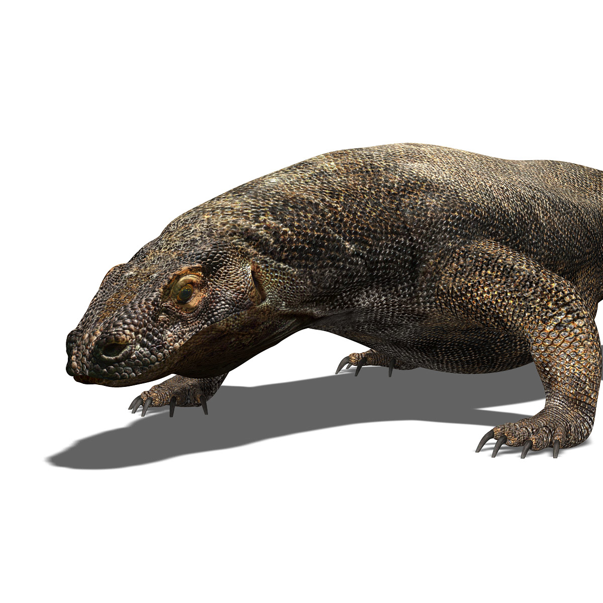 photorealistic komodo dragon 3d model