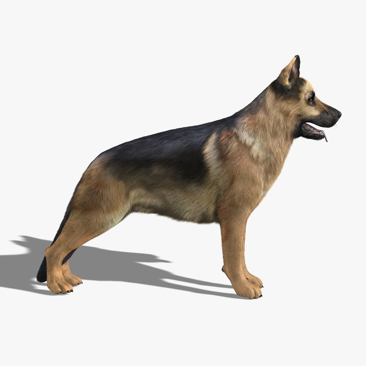german shepherd fur 3d model
