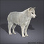 arctic wolf fur 3d model