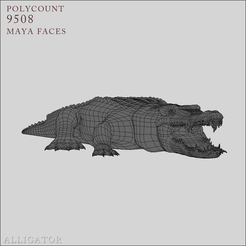 3d realistic alligator