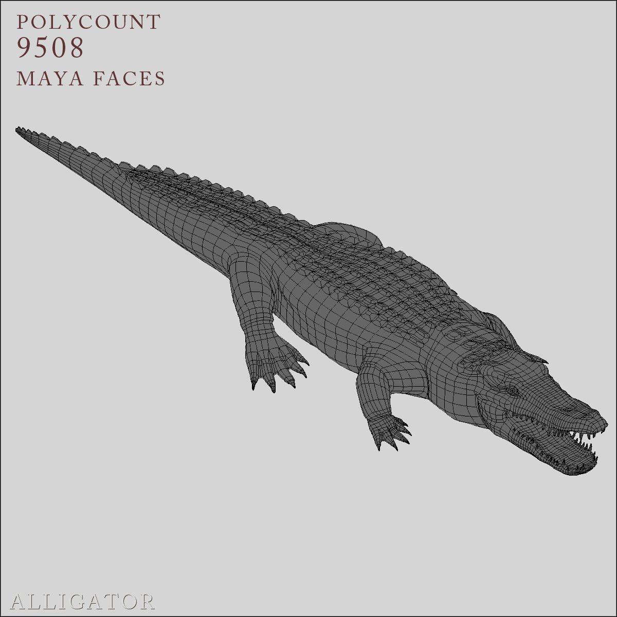 3d realistic alligator