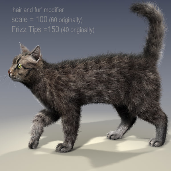 obj cat fur