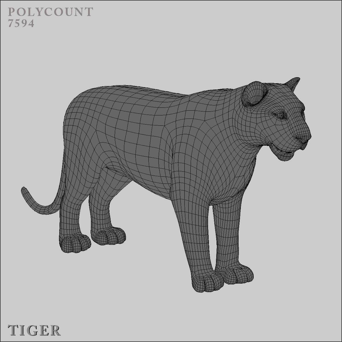 3d tiger shave haircut