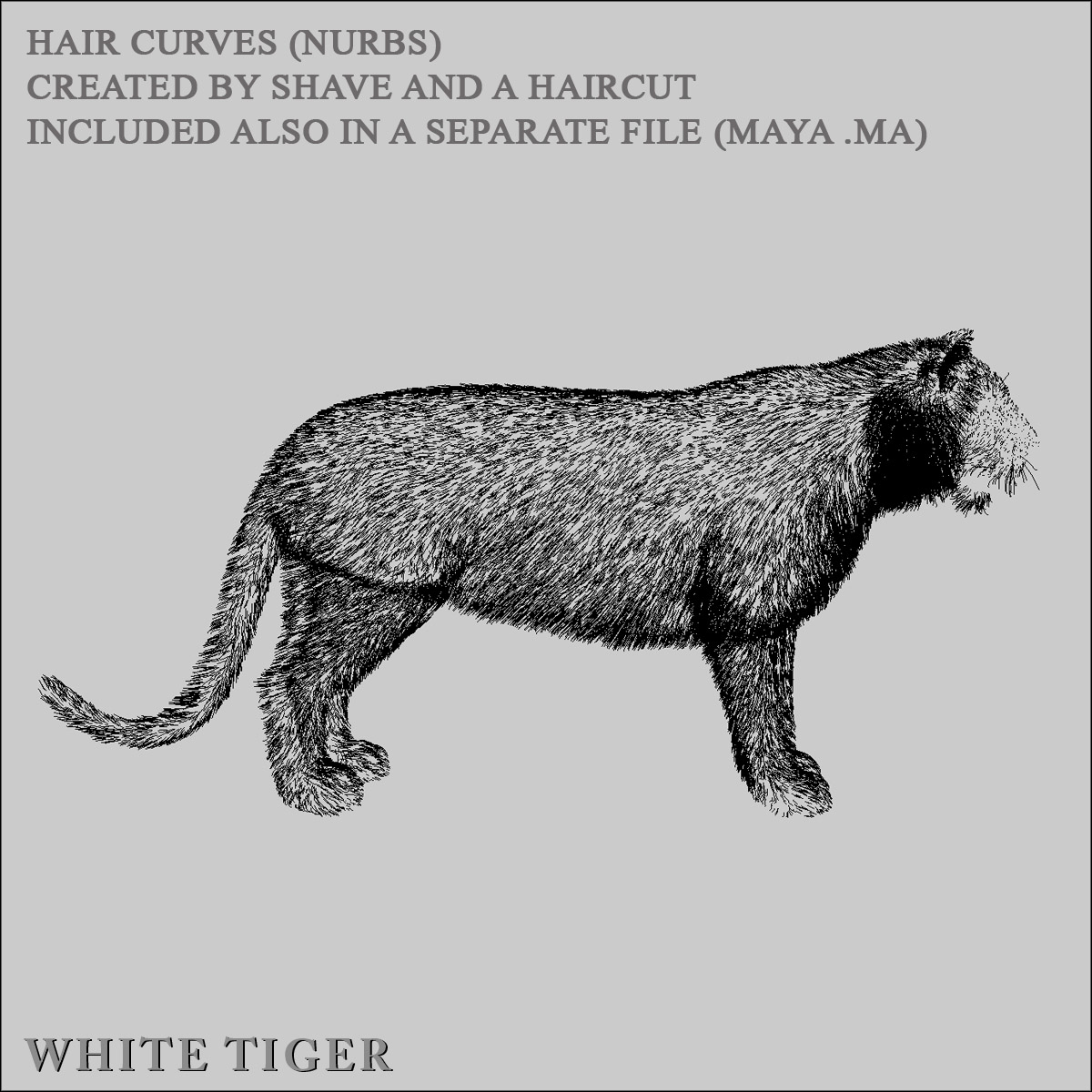 3d tiger shave haircut