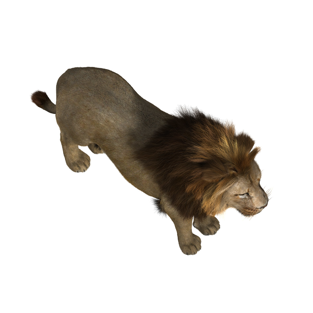 3ds max cat feline