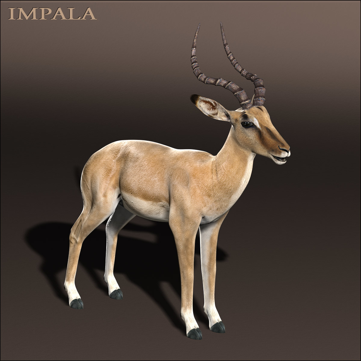 3d impala modeled model