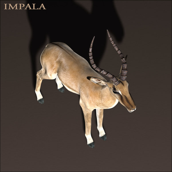3d impala modeled model