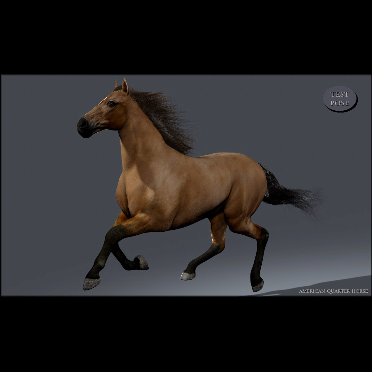 realistic horse 3d model